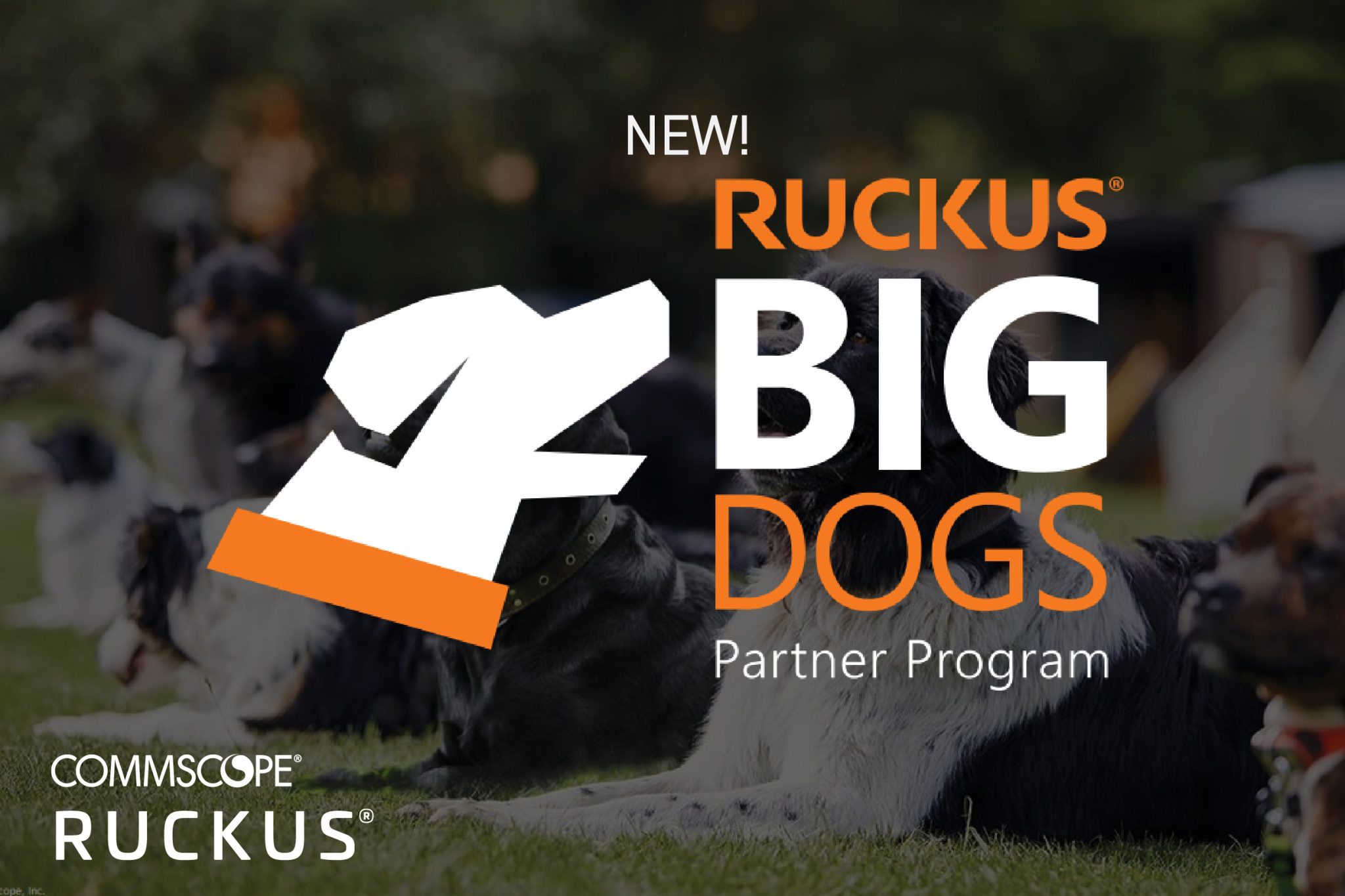 New! CommScope Ruckus introduces the Big Dog Partner Program | Kappa Data